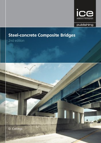Buy Steel Concrete Composite Bridges Designing With Eurocodes book ...