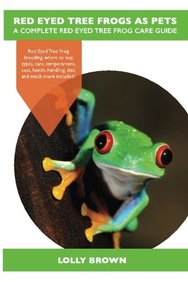 Buy Red Eyed Tree Frogs as Pets: Red Eyed Tree Frog breeding, where to ...