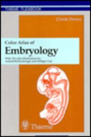 Buy Color Atlas of Embryology (Thieme flexibooks) book : U. Drews ...