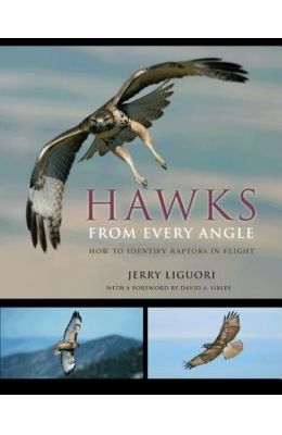Buy Hawks from Every Angle: How to Identify Raptors in Flight book ...