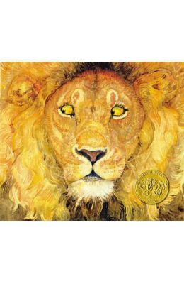Buy Lion & The Mouse book : Jerry Pinkney , 0316013560, 9780316013567 ...