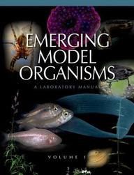 Buy Emerging Model Organisms : A Laboratory Manual Vol 1 book : Na ...