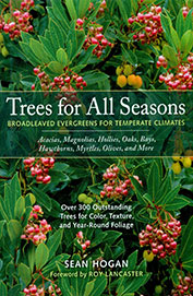 Buy Trees For All Seasons: Broadleaved Evergreens For Temperate ...