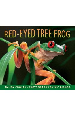 Buy Red-Eyed Tree Frog book : Nic Bishop , 0590871757, 9780590871754 ...