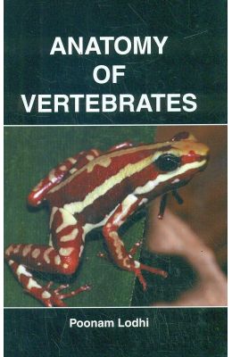 Buy Anatomy Of Vertebrates book : Poonam Lodhi , 935084480X ...