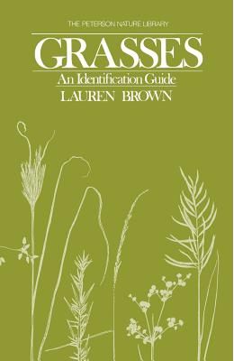 Buy Grasses: An Identification Guide book : Lauren Brown , 0395628814 ...