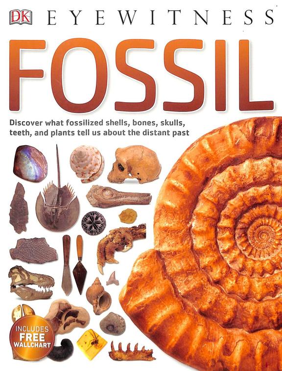 Buy Eyewitness Fossil book : Dk , 0241286875, 9780241286876 - SapnaOnline.com India