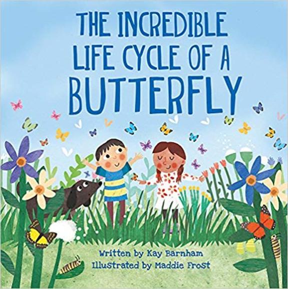Buy Amazing Life Cycle Of Butterflies : Look & Wonder book : Kay ...