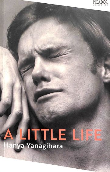 Buy Little Life book : Hanya Yanagihara , 1035035030, 9781035035038 ...