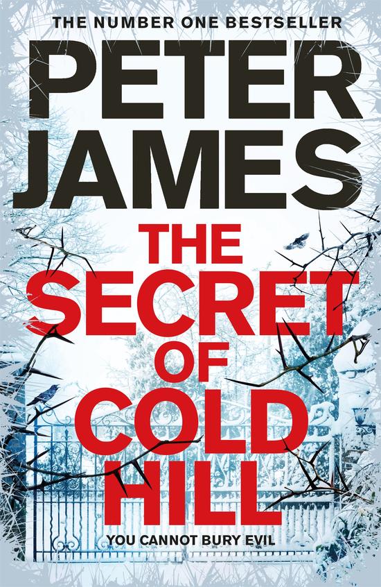 Buy The Secret of Cold Hill book : Peter James , 1509816240 ...
