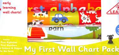 Buy My First Wall Chart Pack 4 Early Learning Wall Charts Age 3+ book ...