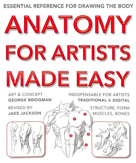 Buy Anatomy For Artists Made Easy Essential Reference For Drawing The