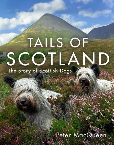 Buy Tails of Scotland: The Story of Scottish Dogs book : Peter Macqueen ...