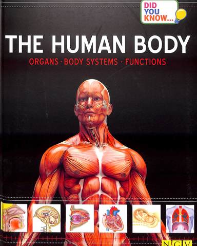 Buy Did You Know : Human Body Organs Body Systems Functions book : Na ...