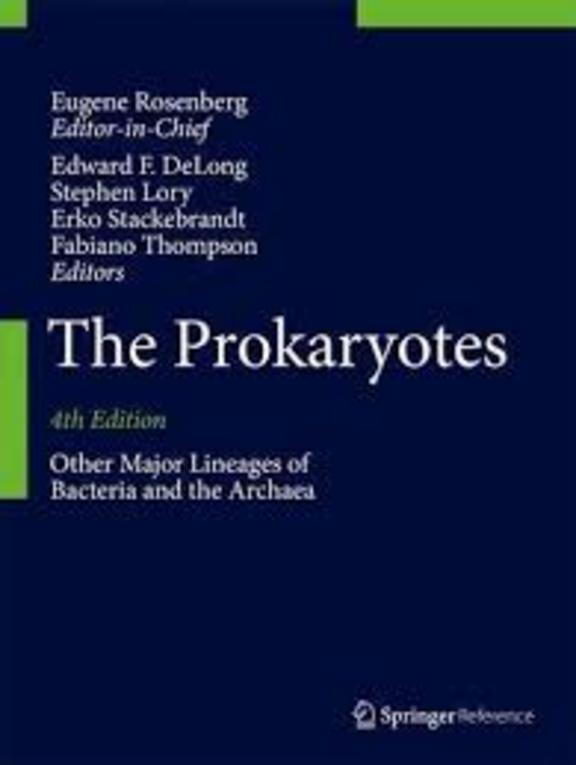 Buy The Prokaryotes: Other Major Lineages of Bacteria and The Archaea ...