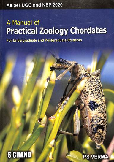 Buy Manual Of Practical Zoology Chordates book : Ps Verma , 8121908302 ...