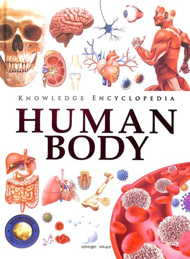 Buy Knowledge Encyclopedia Human Body book : Na , 9354404111 ...