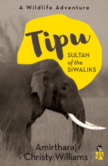 Buy Tipu Sultan Of The Siwaliks A Wildlife Adventure book : Amirtharaj ...