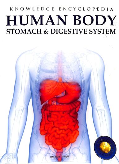 Buy Knowledge Encyclopedia Human Body Stomach & Digestive System book ...