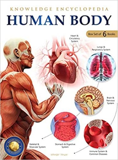 Buy Knowledge Encyclopedia : Human Body Set Of 6 Books book : Na ...